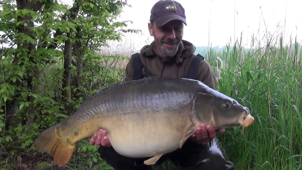 HELL YEAH STORY 2014 - BIG CARP FISHING - YouTube