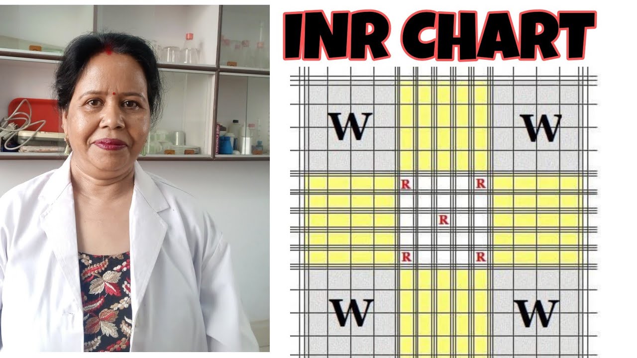 How to make INR chart |physiology| ||kalyani biswas|| - YouTube