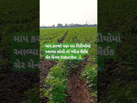 #maye #farm #vilog #aane #Daniya🌱🌱 #kevase@KISHOR CHAROLA 🙏 - YouTube