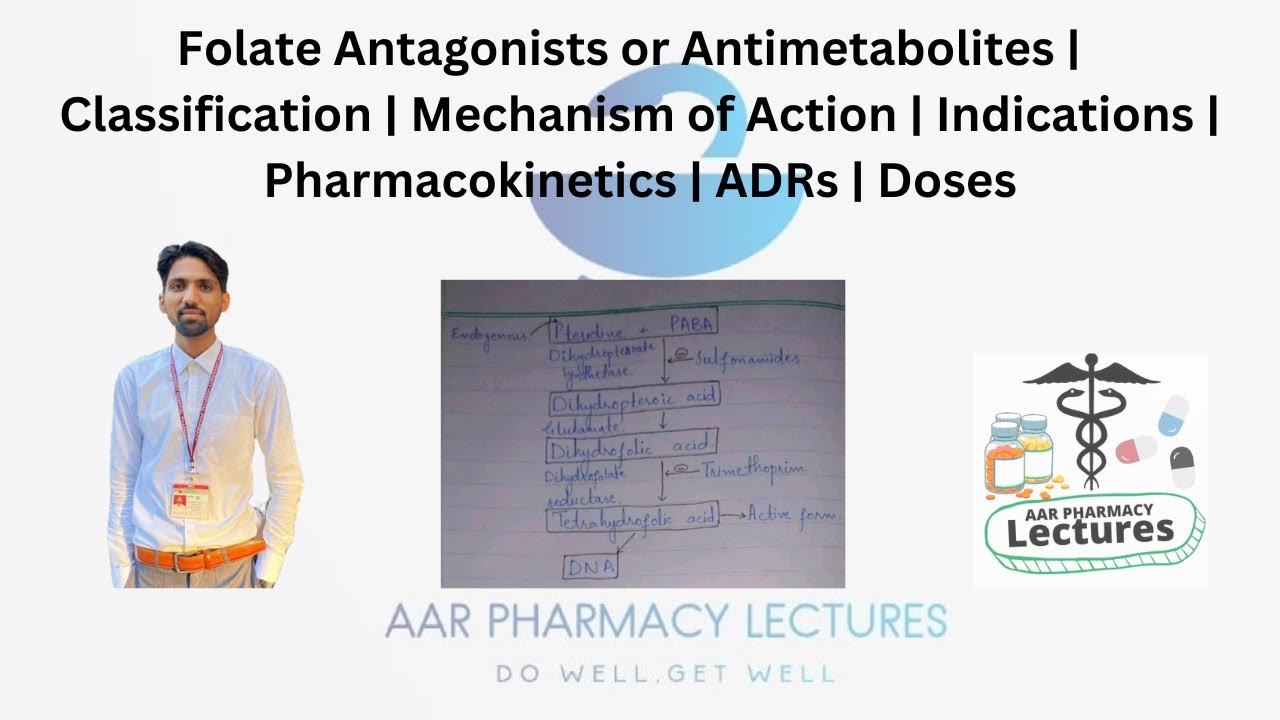 Folate Antagonists or Antimetabolites | Classification | Mechanism of ...