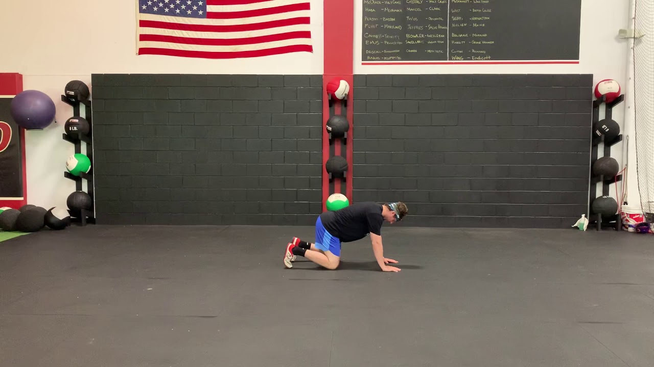 Quadruped 1-arm Trap Raise - YouTube
