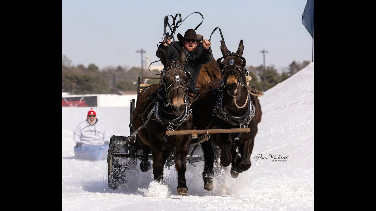 Forrest & Bubba - YouTube