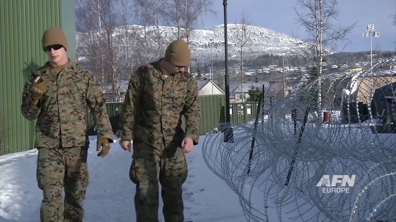 AFN Europe Report: Cold Response 16 - YouTube