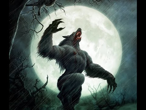 Werewolves in South Africa 2021 July Monster in Kimberly - YouTube