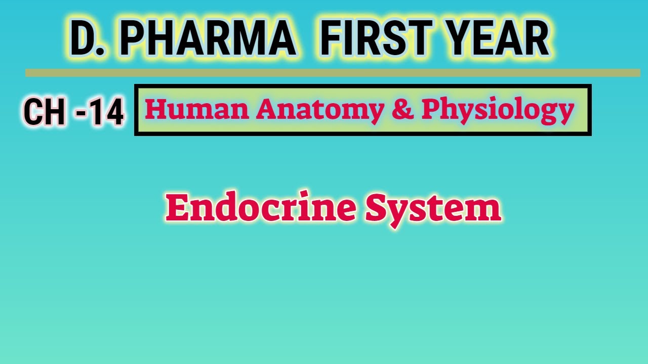 Endocrine system | Ch-14 | Human anatomy and physiology | D.pharm first ...