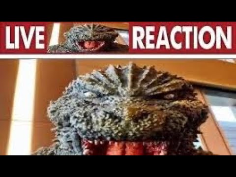 Gyattzilla got me - YouTube