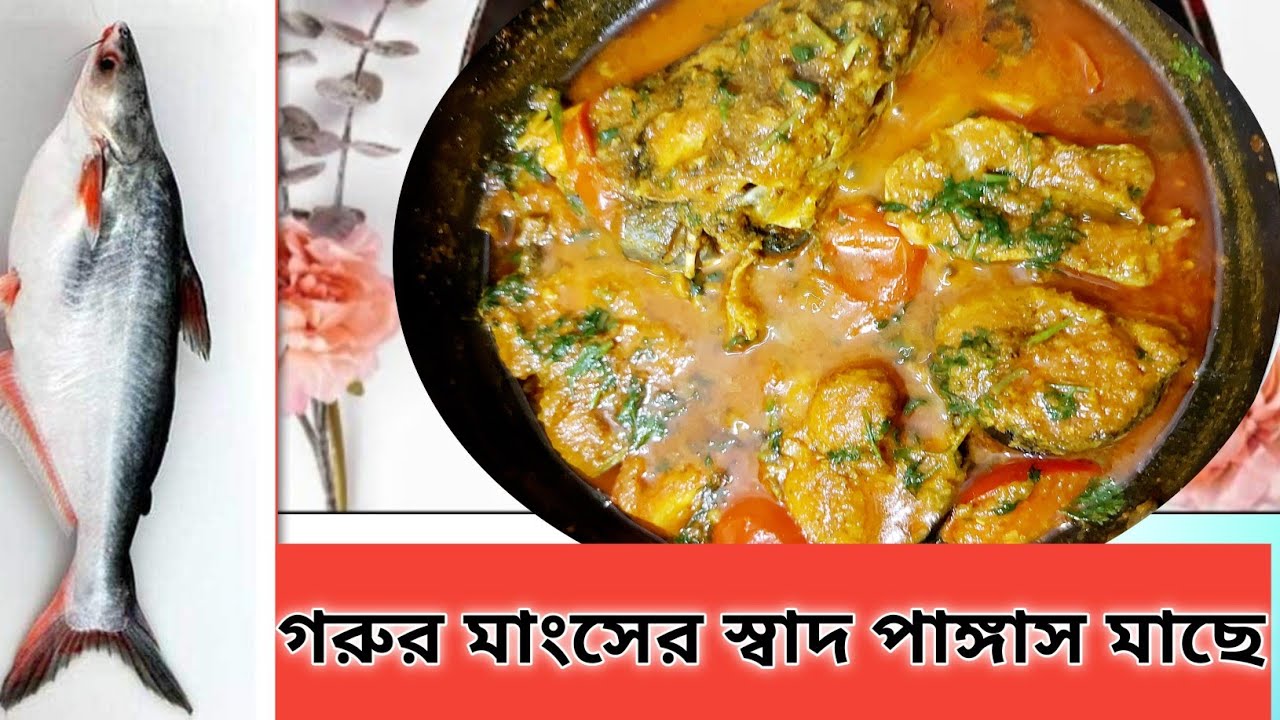 গরুর মাংসকে হার মানানো পাঙ্গাস মাছের রেসিপি |Best Fish Kalia Cook ...
