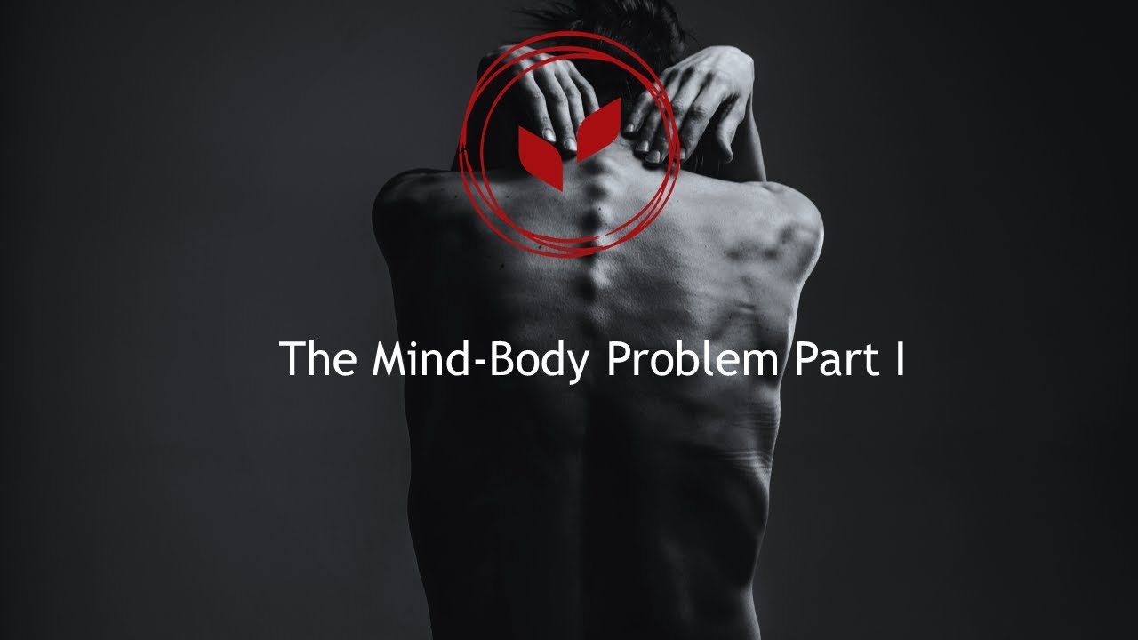 The Mind-Body Problem Explained - Part I - YouTube