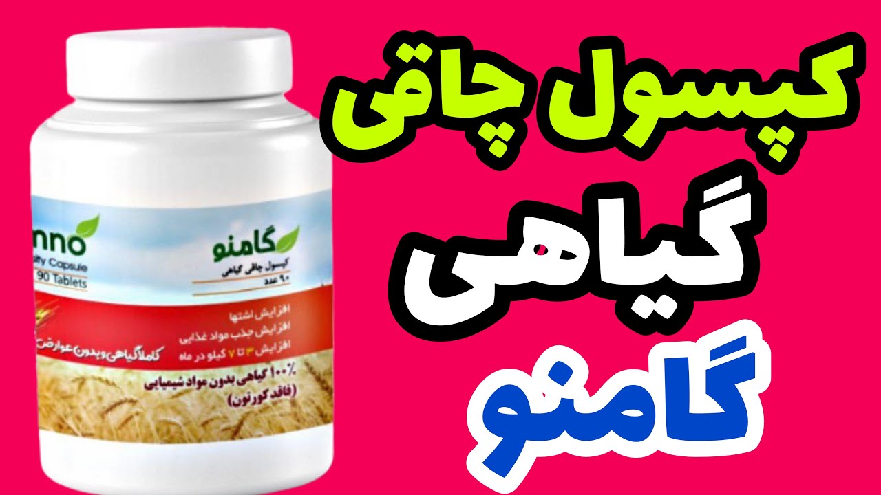 چاق شدن سریع کل بدن چاق شدن چگونه چاق شویم سریع افزایش وزن سریع