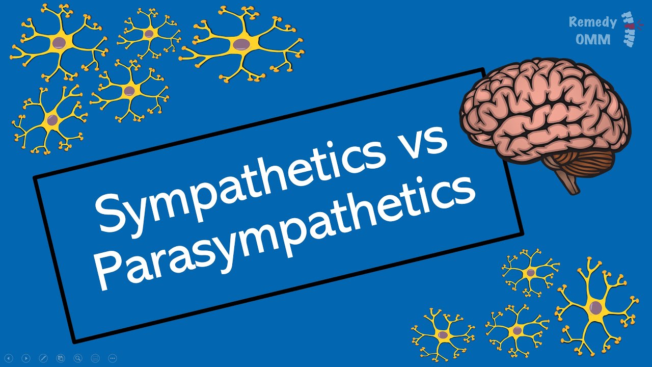 Osteopathic Medicine: Viscerosomatics - YouTube