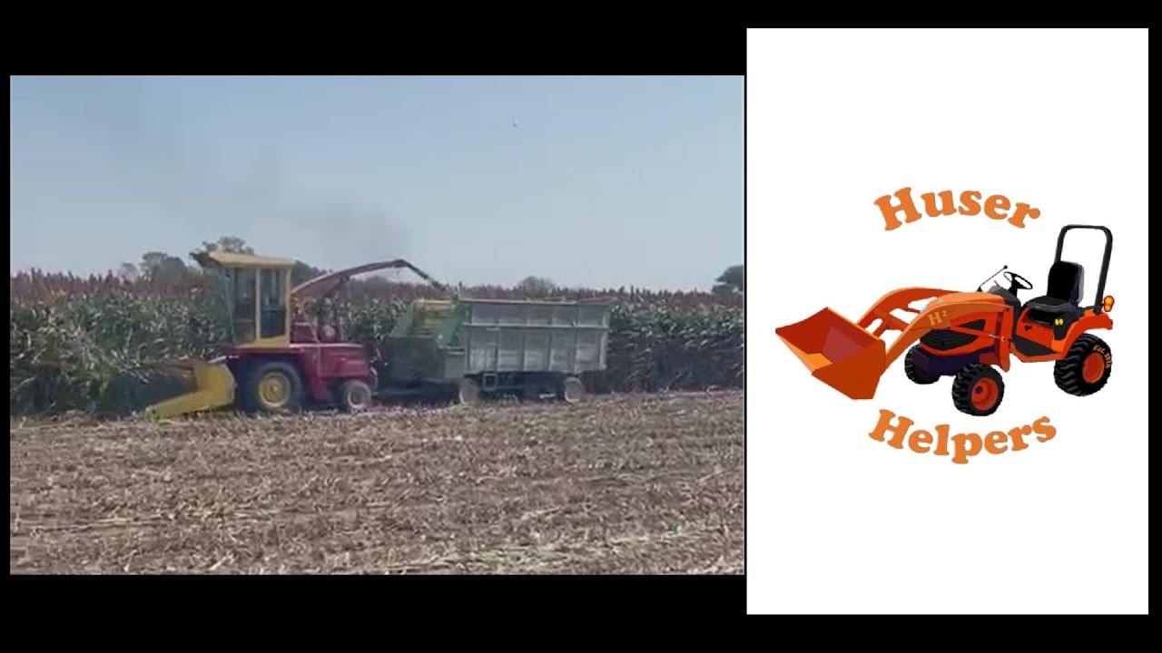 Chopping Forage Milo with a New Holland 1890 Chopper - YouTube