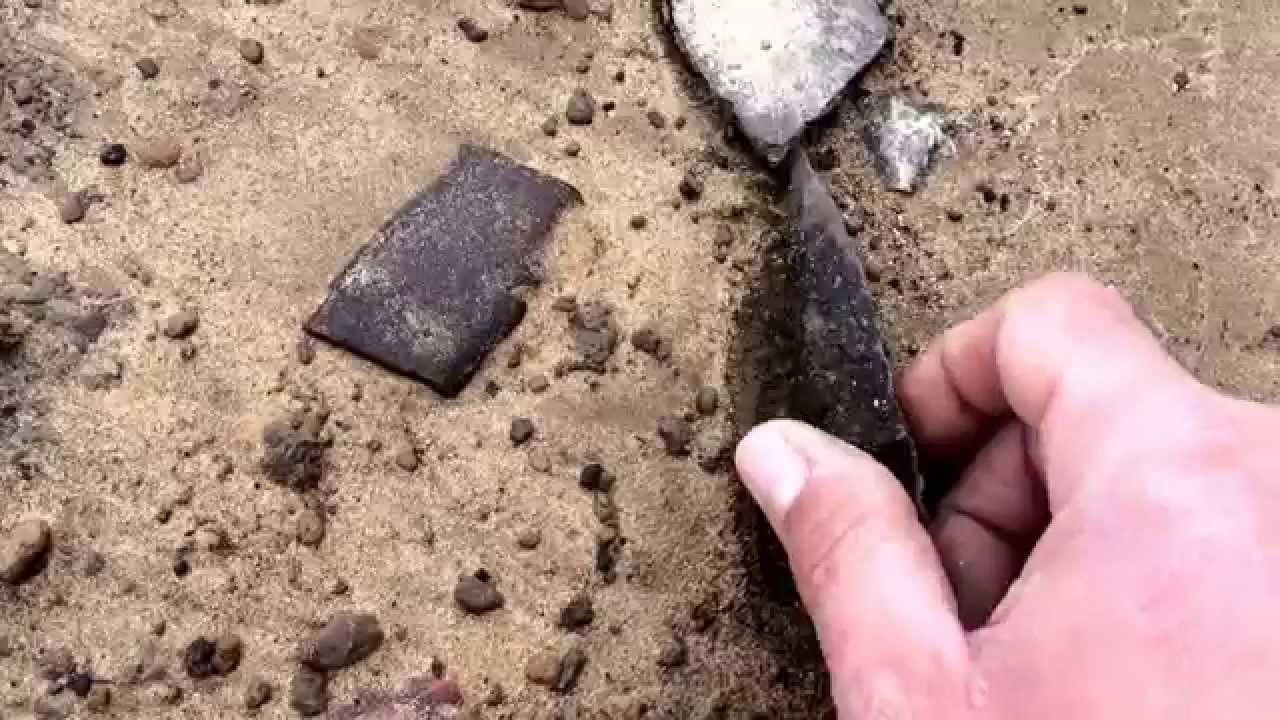 Arrowhead hunting 101 KILLER Copena TRW returns - YouTube