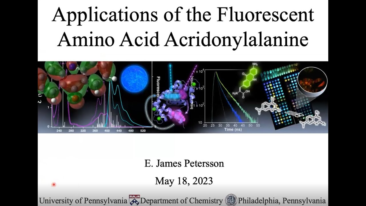 Applications of the Fluorescent Amino Acid Acridonylalanine - YouTube