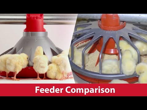 Chore-Time KONAVI® Broiler Feeder Comparison - YouTube