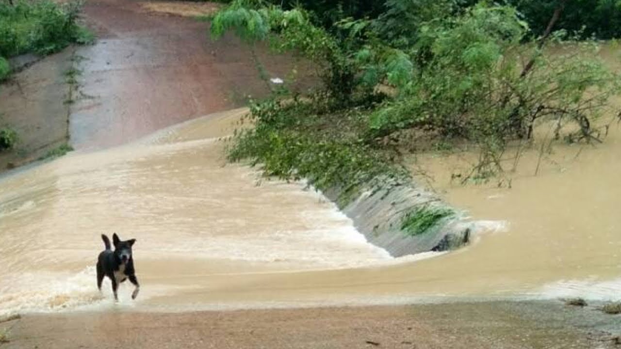 Tropical Storm Podul Hits Thailand Causing Flooding - YouTube