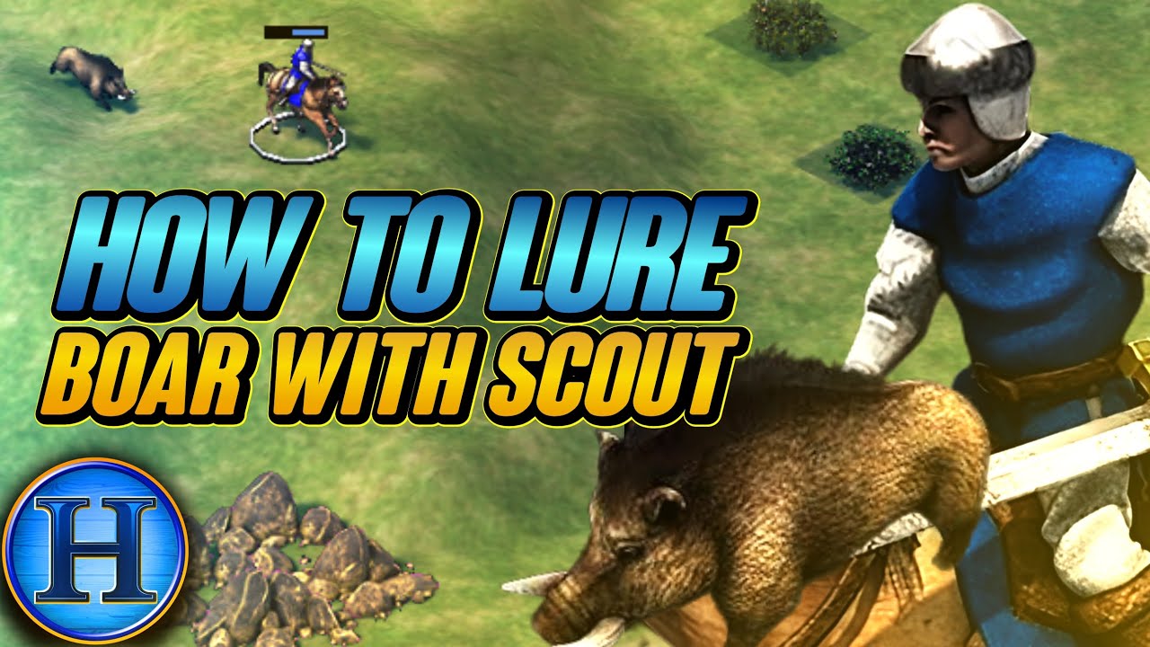 How To Lure a Boar With Scout Tutorial | AoE2 - YouTube