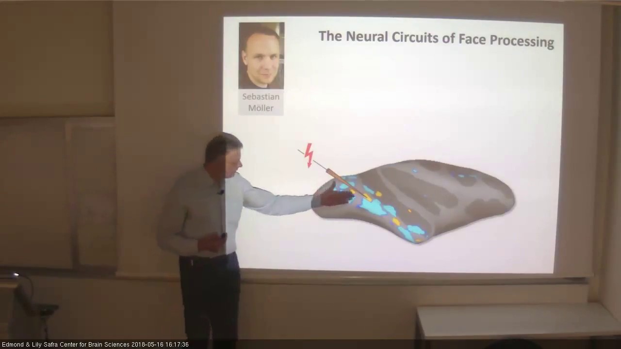 ELSC Special Seminar: Dr. Winrich Freiwald - 22.05.2018 - YouTube