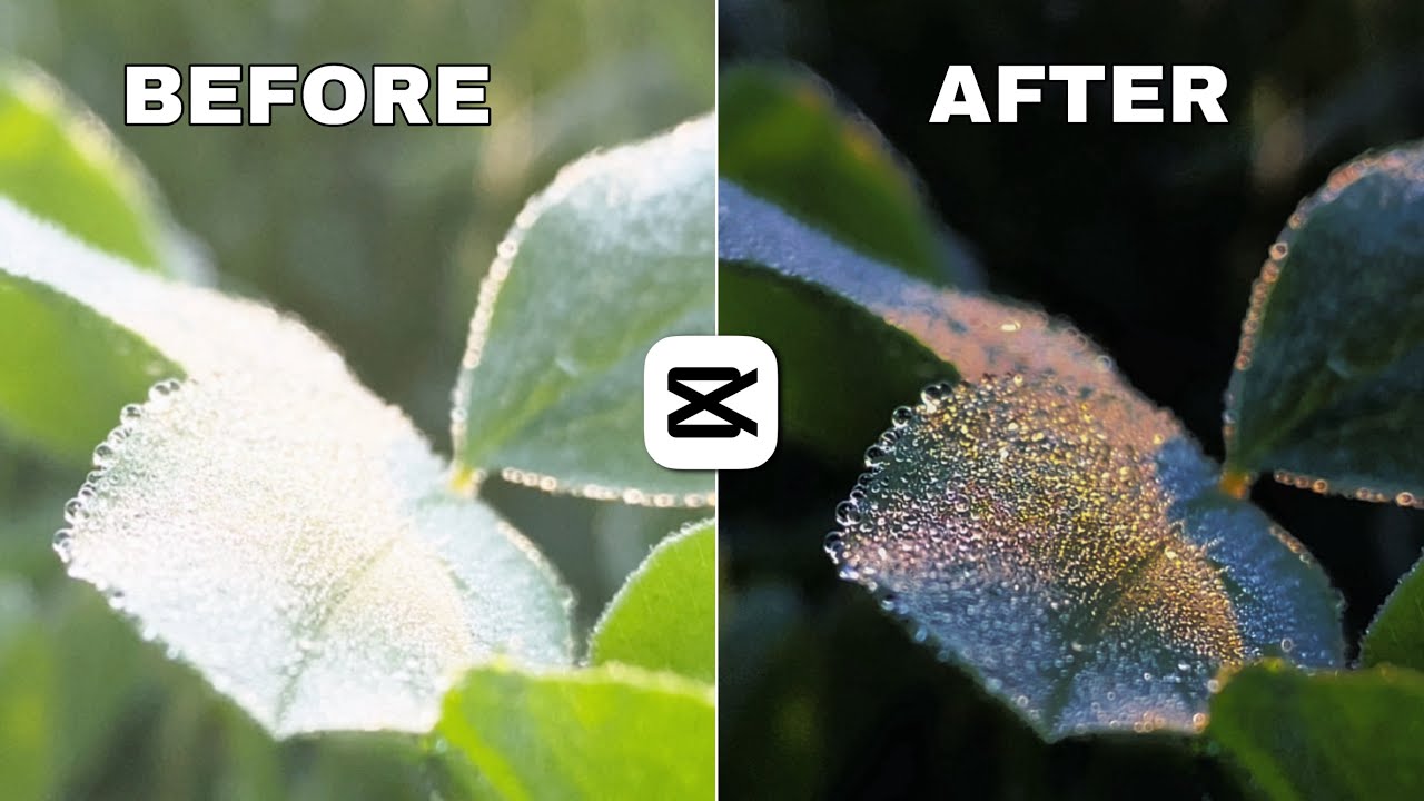 CapCut Cinematic Color Grading Tutorial | How to do color grading in ...