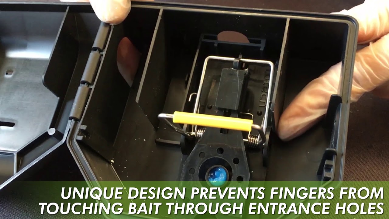 Rotech Snap Box - Mouse Trapping Station - YouTube