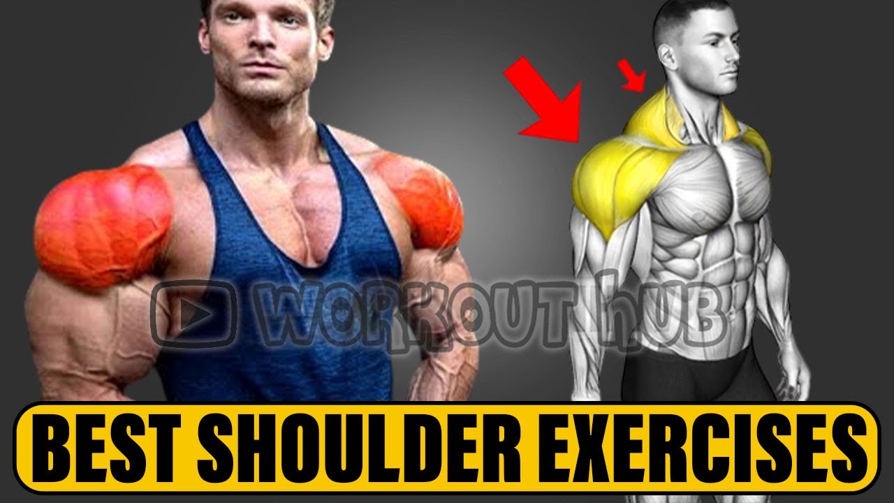 Shoulder Workout : How to grow your SHOULDERS! (Best exercises) - YouTube