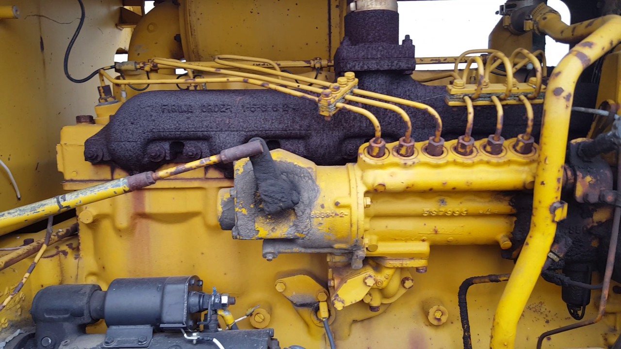 Cat 12f video 064 - YouTube