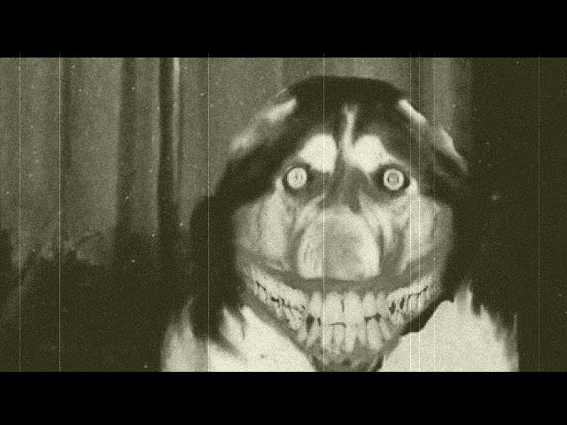 Historia Del Perro Sonriente De Creepypasta