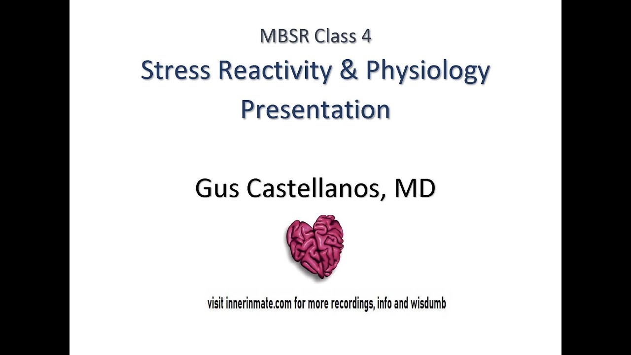 MBSR class 4 stress presentation Oct 2020 - YouTube