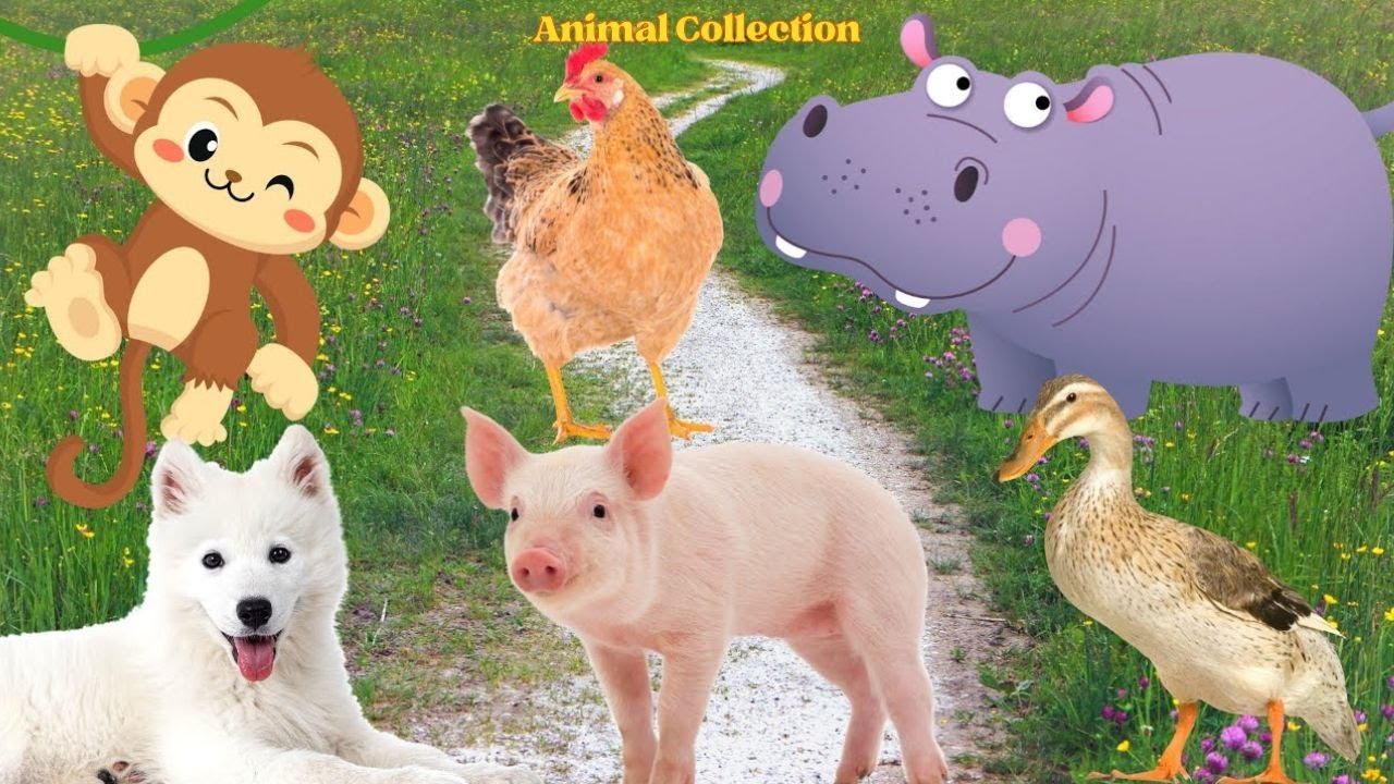 Sounds Of Wild Animals, Familiar Animal : Cat, Dog, Elephant, Giraffe ...