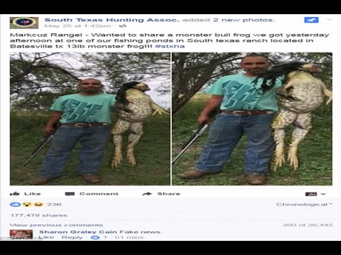 In Graphics: Hunter shows off pictures of Giant Bull Frog which he ...