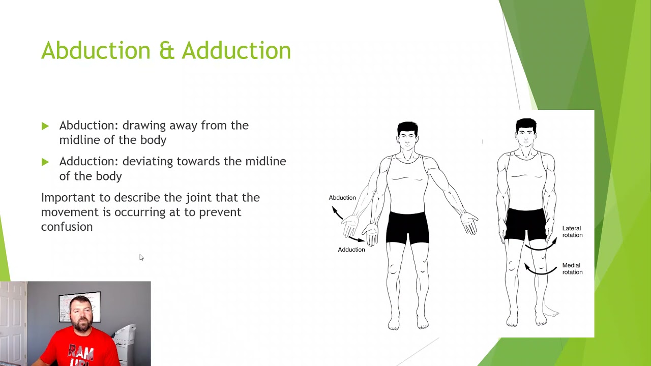 Anatomic Movements, Positions, and Deviations - YouTube