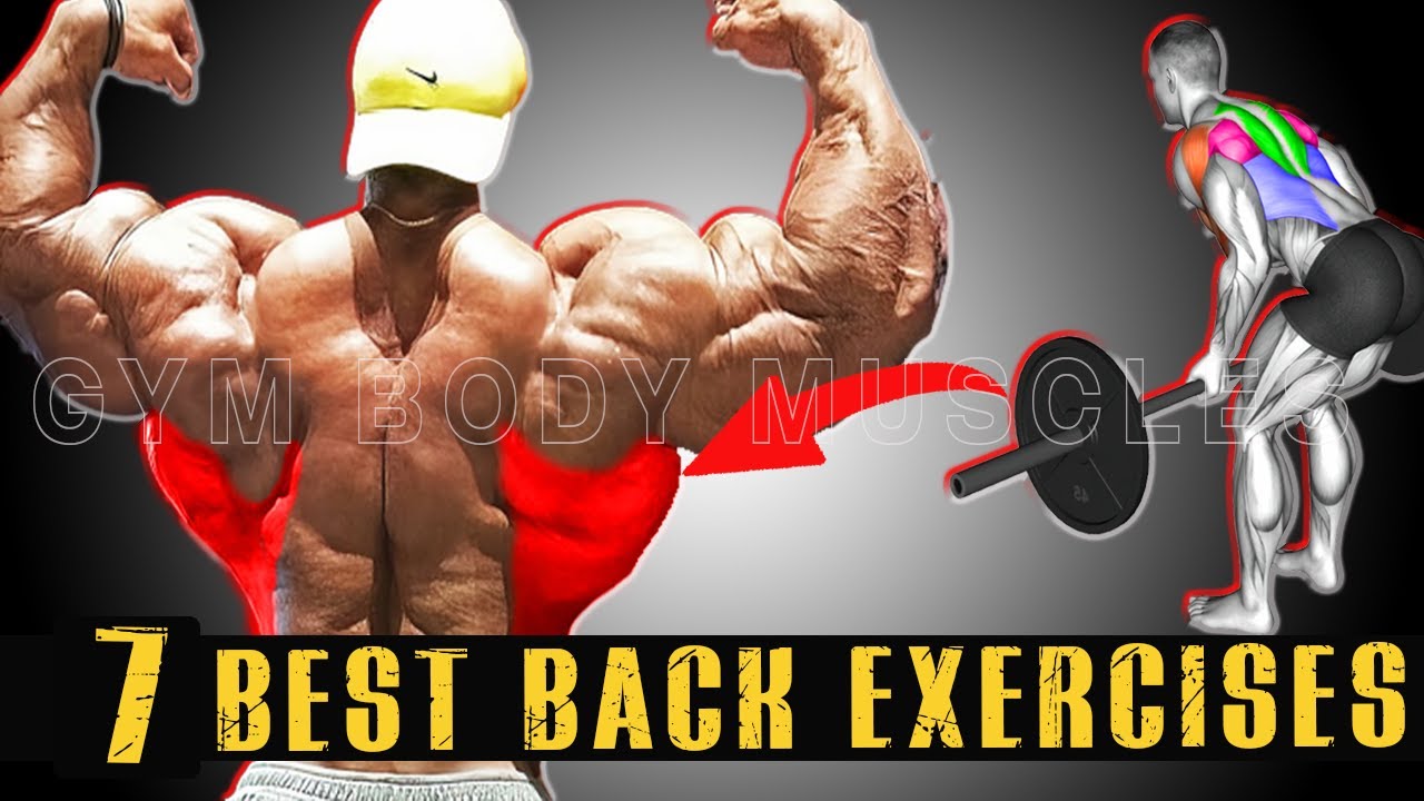 7 Back Exercises at Gym for Men to Build Big Back - YouTube