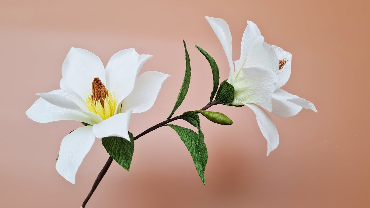 How To Make Magnolia Paper Flower / Paper Flower / Góc nhỏ Handmade ...