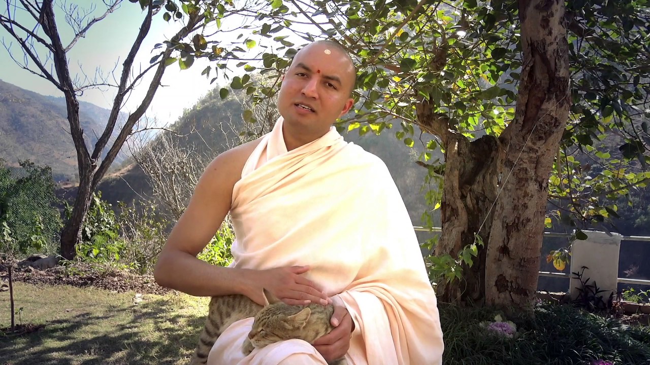 How To Begin Meditation - Om Swami - YouTube