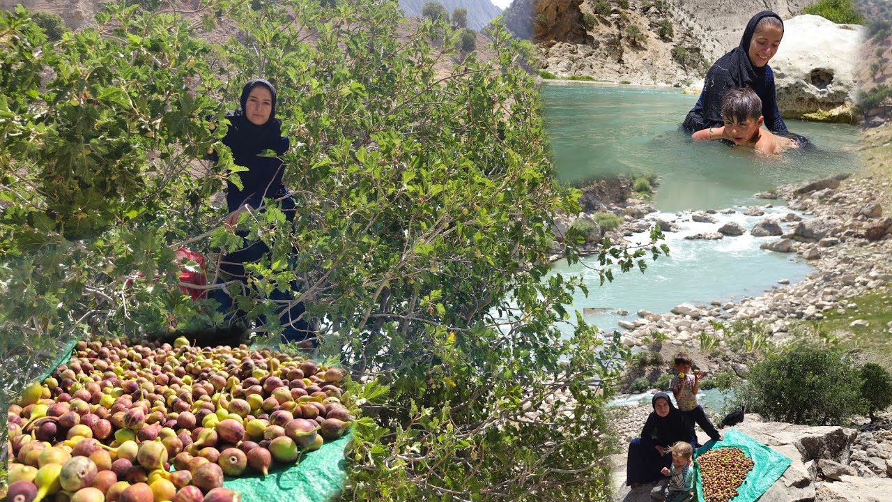 Wild Figs and Kind Hands: The Simple Life of a Nomadic Woman in the Mountains of Iran - YouTube