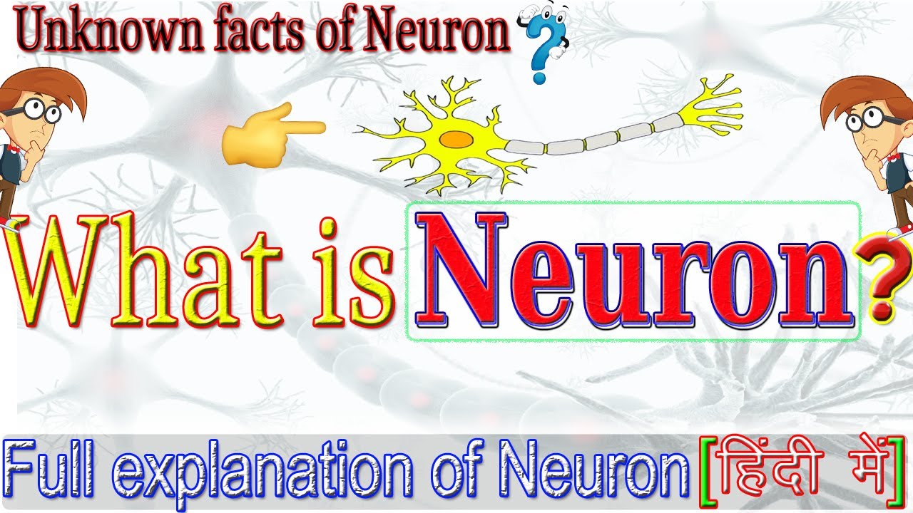 👉What is Neuron? 🔥|Full explanation of Neuron with Simple Definition| 🔥 ...