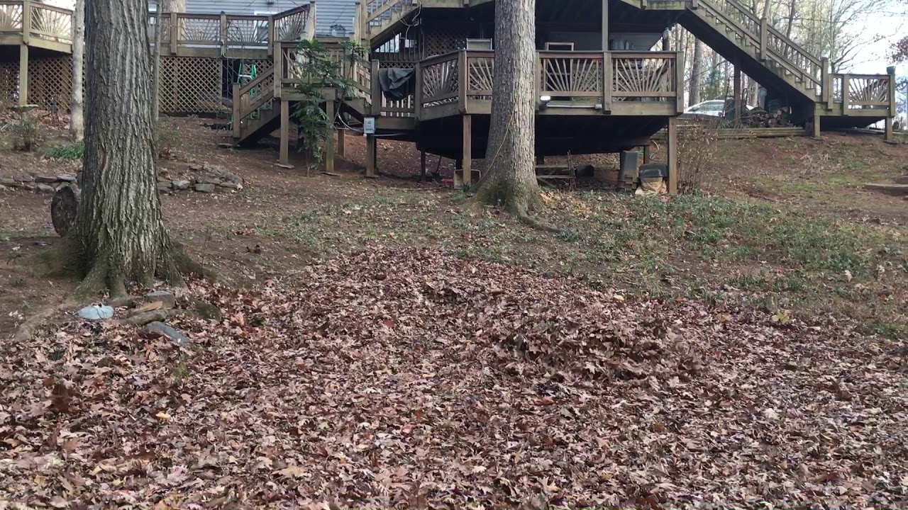 Too many leaves. - YouTube