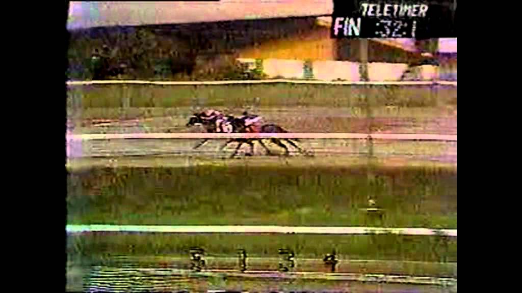 MISTER FRISKY - Tercera Salida - 11 Junio 1989 - YouTube