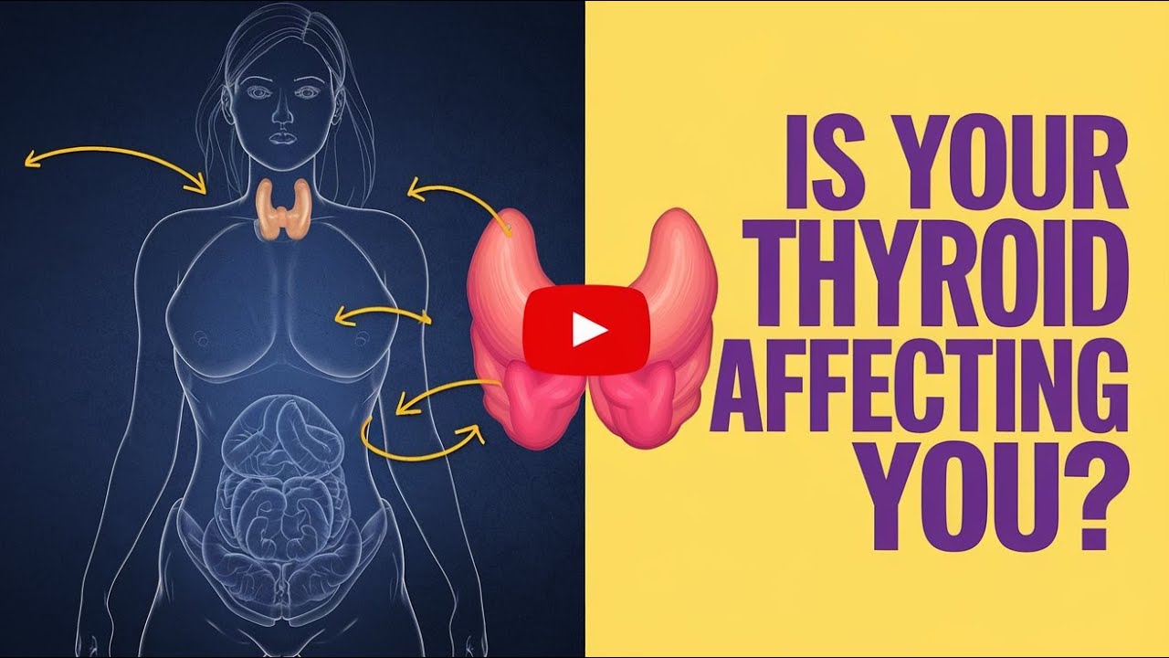 The Thyroid Body Type Explained (Debunked) | 🛑 Stop Eating These 6 ...