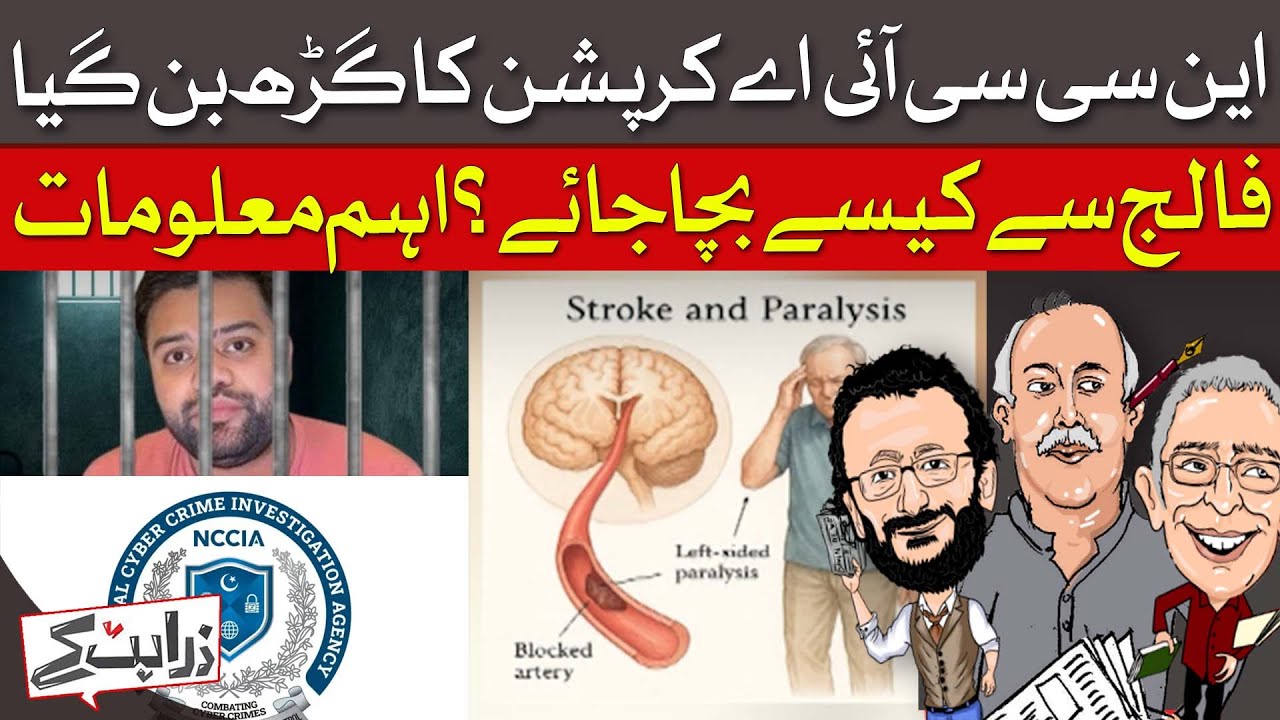 Criminal Agency? Stunning Details Of Corruption Case Against NCCIA ...