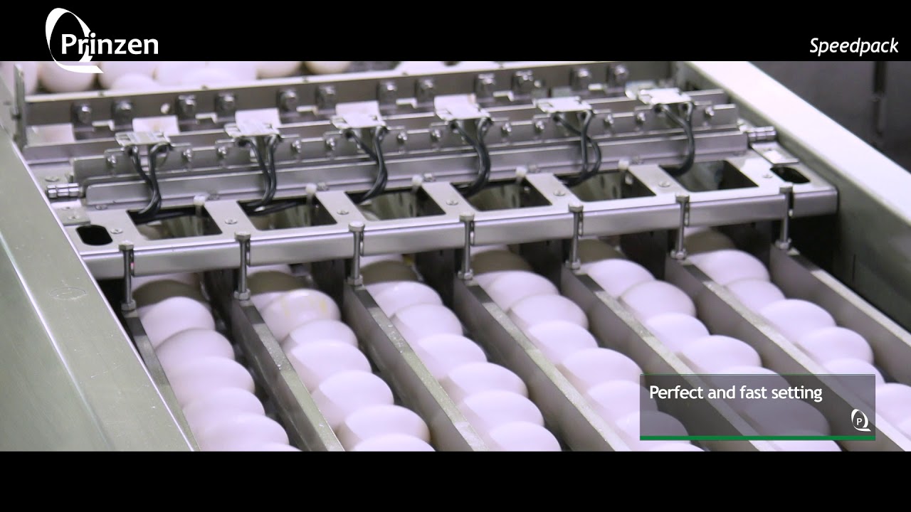 Prinzen: Speedpack - YouTube