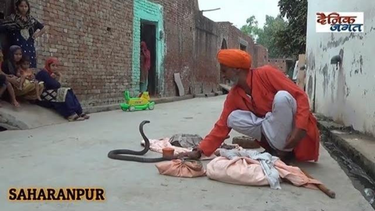सांप सपेरा का खेल | Saap Sapera Ka Khel | Snake Sapra Playing | Dainik ...