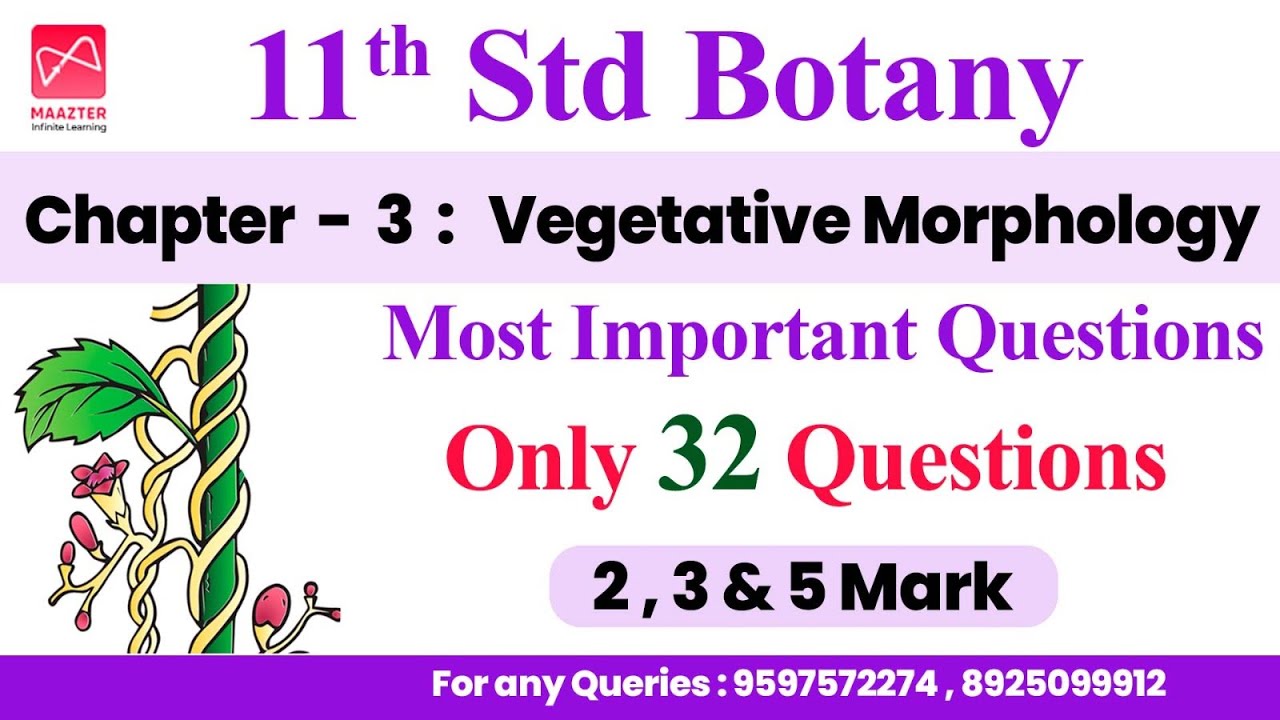 11th Std Botany | Chapter - 3 | Most Important Questions | Only 32 ...