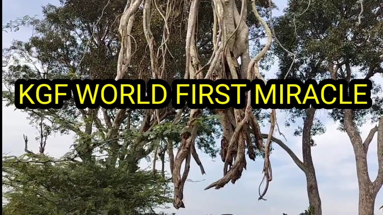 KGF WORLD FIRST MIRACLE - YouTube