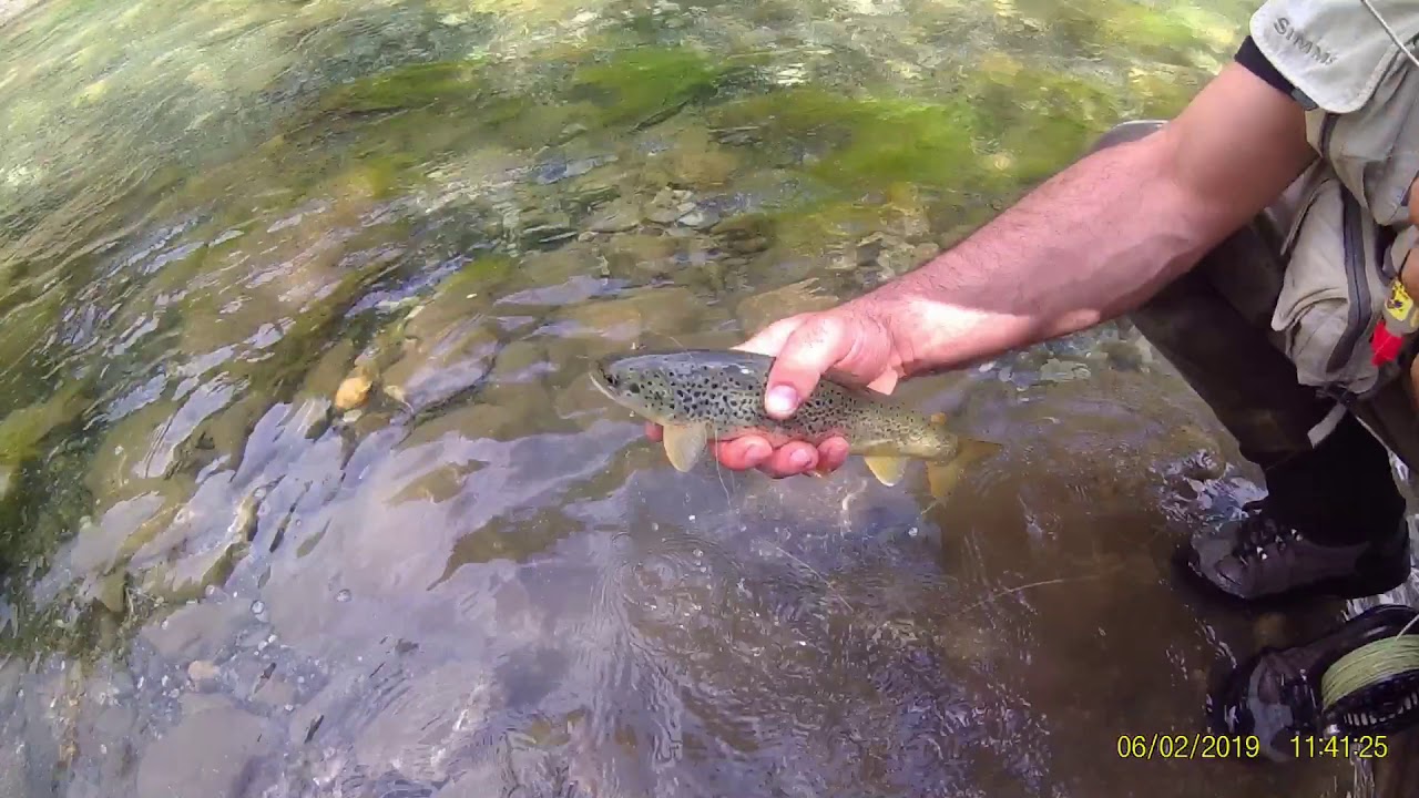 fly fishing Greece - YouTube