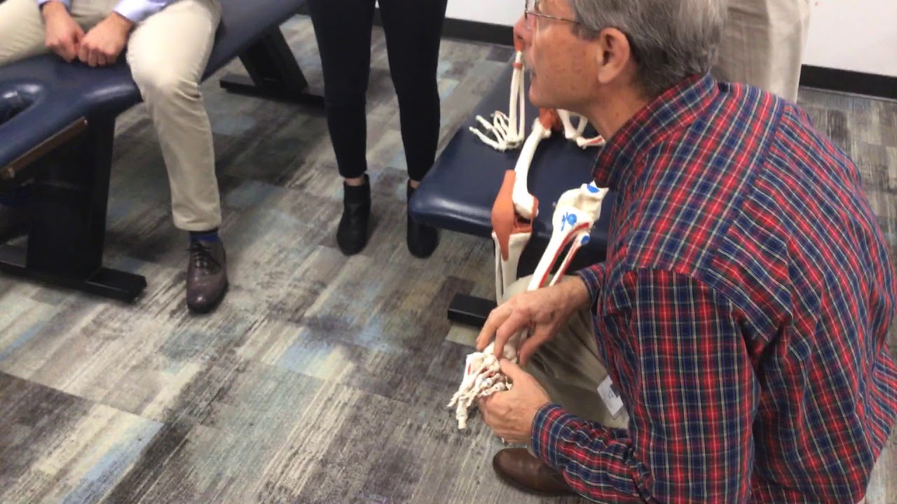 ankle and foot motion palpation, skeleton - YouTube