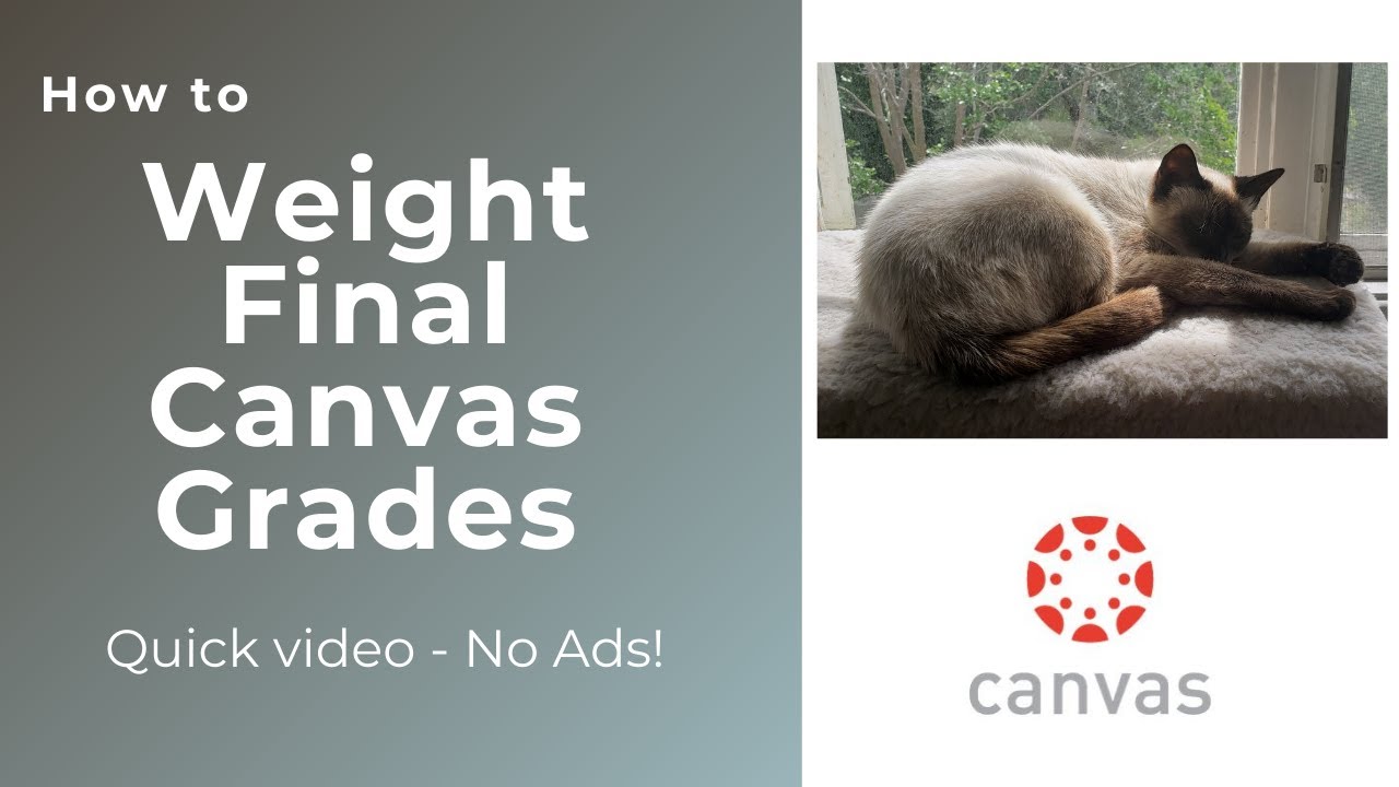 How to Weigh Final Grades In Canvas - YouTube