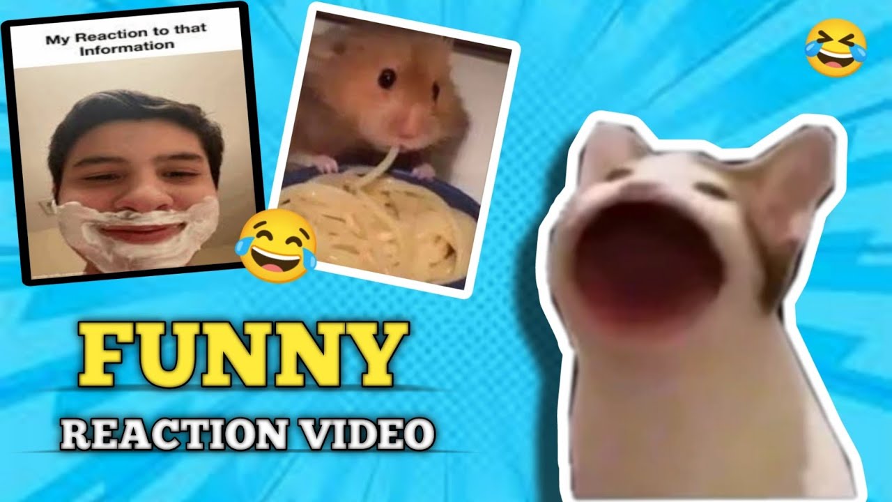 funny video reaction || funny memes reaction || funny video 🤣😂 || - YouTube