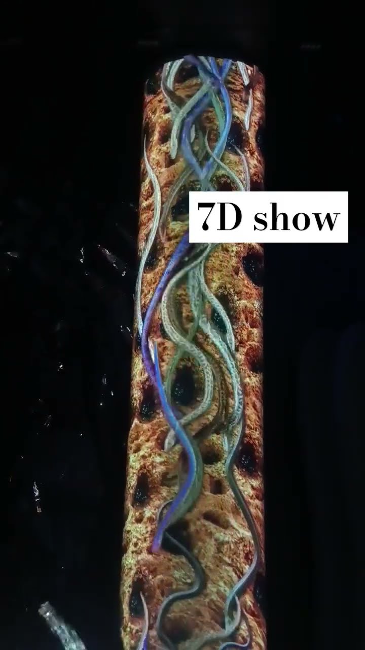 7D show in rajasthan #lightshow #graphics #animation #shortsviral # ...