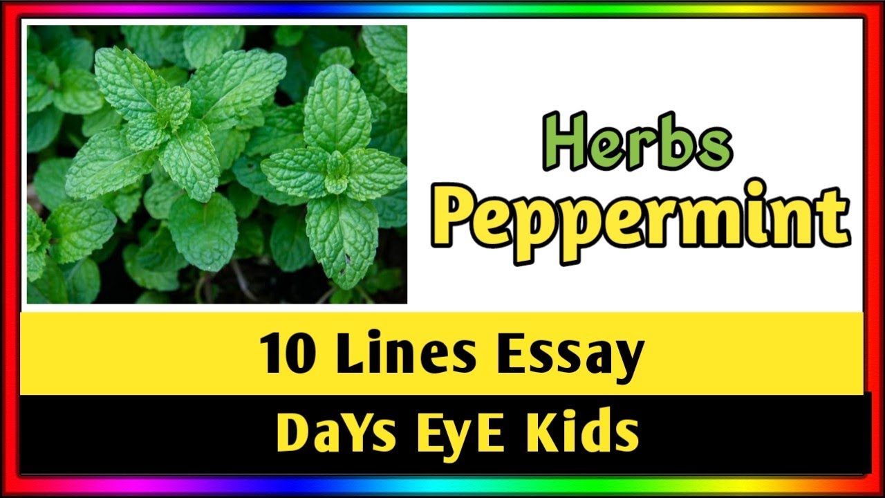 10 Lines Essay on "Peppermint" | A Short Essay about "Peppermint ...