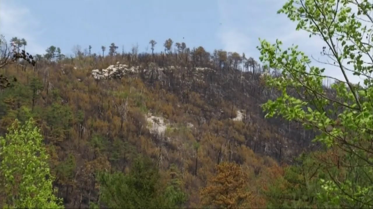 Tye River Fire burns 1,608 acres - YouTube